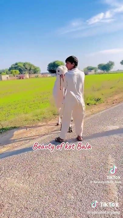 0359 Youtube 0359 Youtube