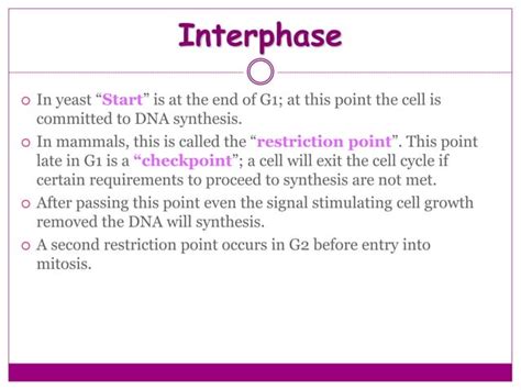 Cell Cycle And Control Checkpoints Throght Cyclin Cdk Complex Ppt
