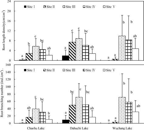 Comparisons Of Root Length Density Rld And Root Branching Number