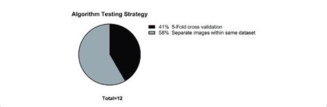 distribution of machine learning algorithm testing strategies