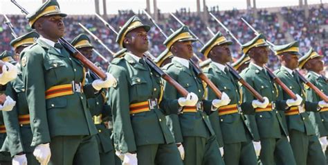 Heal Zimbabwe Trust Calls Out Partisan Brutal Armed Forces Zimbabwe News Now
