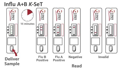 Influenza A And Influenza B Viruses Rapid Diagnostic Test — Sterilab