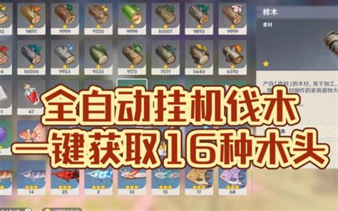 原神全自动挂机砍树，需要道具王树瑞佑，只需要5天就可以把所有木头收集到上限。 哔哩哔哩
