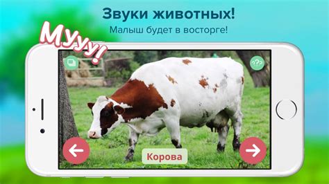 Кто тут Учим животных вместе с детьми развивающие карточки звуки