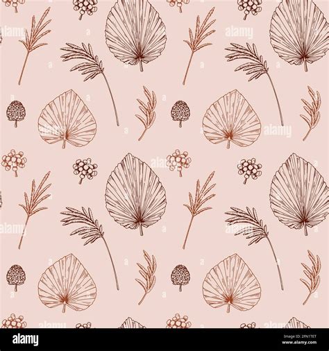 Dried Grass Background Stock Vector Images Alamy