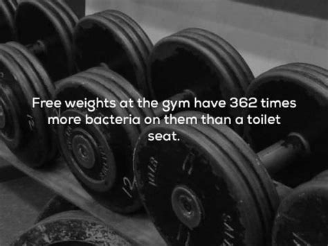 13 Fun Facts About Animals Breakbrunch