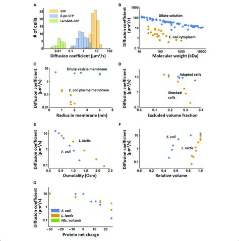 Systematic Variation Of Diffusion Coefficients With Protein And Download Scientific Diagram