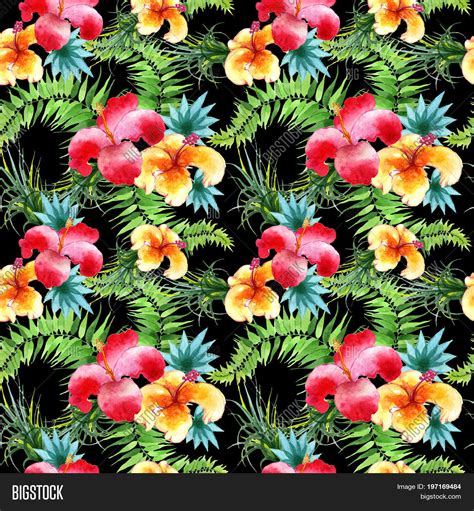 Tropical Hawaii Leaves Image And Photo Free Trial Bigstock