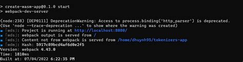 Insights of Porting Hugging Face Rust Tokenizers to WASM