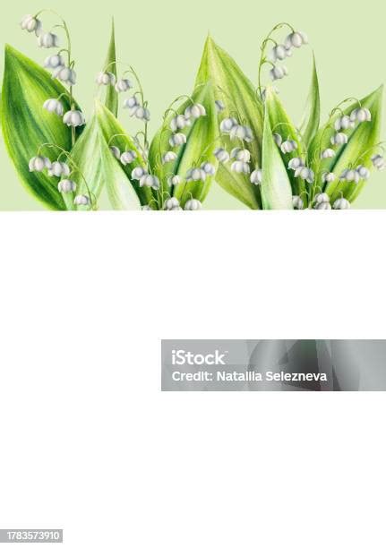 수채화 엽서 와 꽃다발 와 꽃 와 꽃 봄 손으로 그린 그림입니다 디자이너 결혼식 장식 엽서 포장지 스크랩북 커버 초대장 포스터