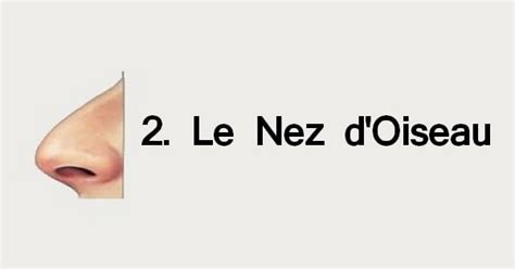Voici ce que la forme de votre nez révèle sur votre personnalité Moi ça correspond tout à