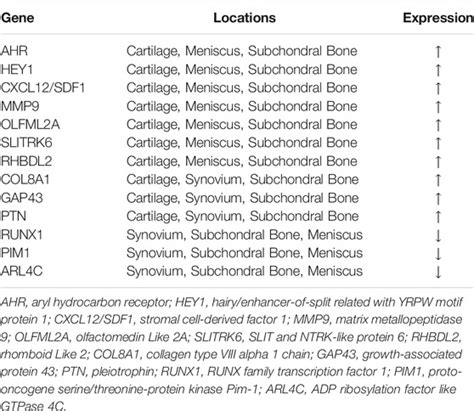 Frontiers Comprehensive Analysis Of Key Genes Signaling Pathways And Mirnas In Human Knee