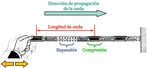 Onda longitudinal qué es características fórmula y ejemplos