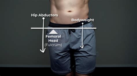 Gluteus Medius Training Bút Chì Xanh