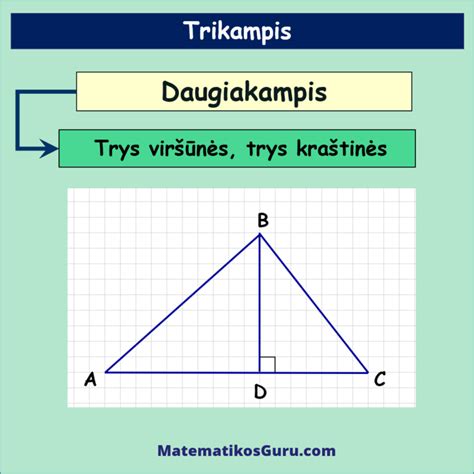 Trikampio Plotas Skaičiavimas Pavyzdys Matematikos Guru