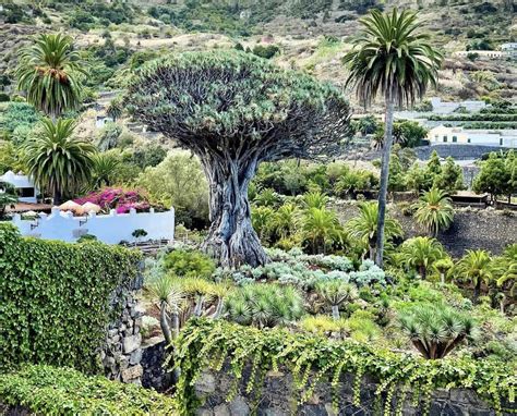 Green Album On Imgur