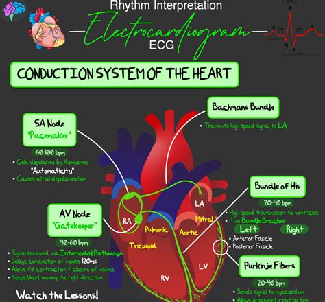 Rhythm Interpretation Notes Pdf Icu Advantage Rhythm Interpretation Notes Pdf Icu Advantage