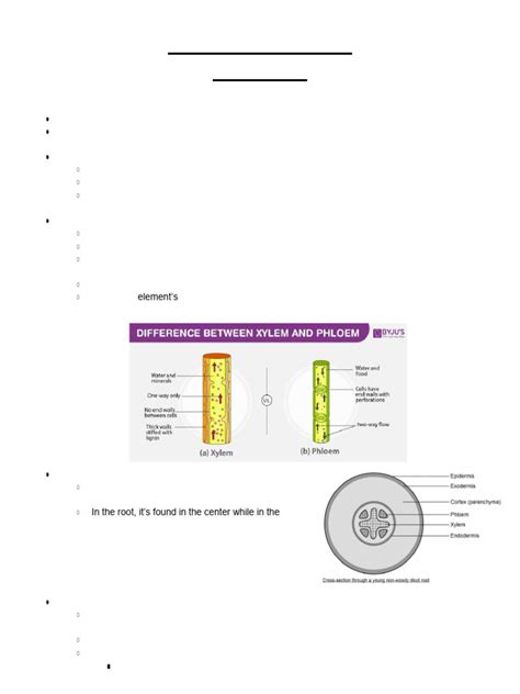Igcse Biology Revision Guide Mock Exam Pdf Atrium Heart Heart