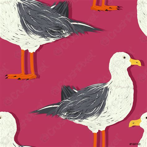Seagull Pattern Stock Vector 168160 Crushpixel