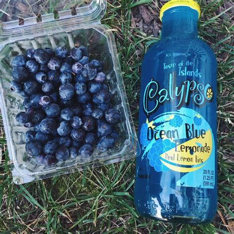 Ocean Blue Lemonade Calypso Blue Drinks Blueberry Lemonade Lemonade