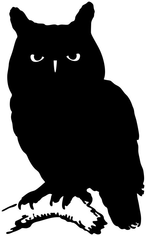Design Png E Svg De Silhueta De Coruja Para Camisetas