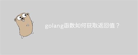 golang函数如何获取返回值 叮当号