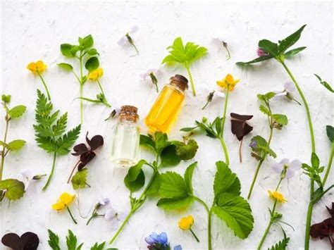 What Essential Oils Blend Well Together
