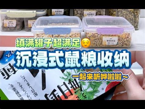 沉浸式收纳小动物们的口粮 YouTube