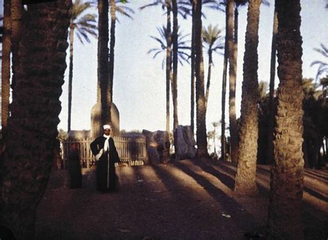 Egypt By Helen Messinger Murdoch Art Print Wall Art Posters And