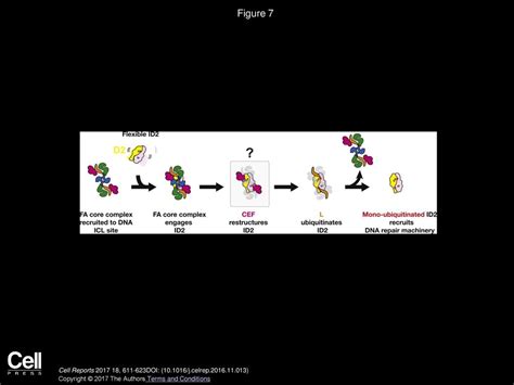 Volume 18 Issue 3 Pages January 2017 Ppt Download