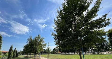 Bonificato Il Parco Parenzo Sud Est La Voce Del Popolo