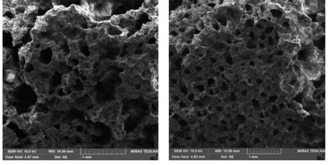 Microstructure Of Cellular Composites A Aac B Aacal Download