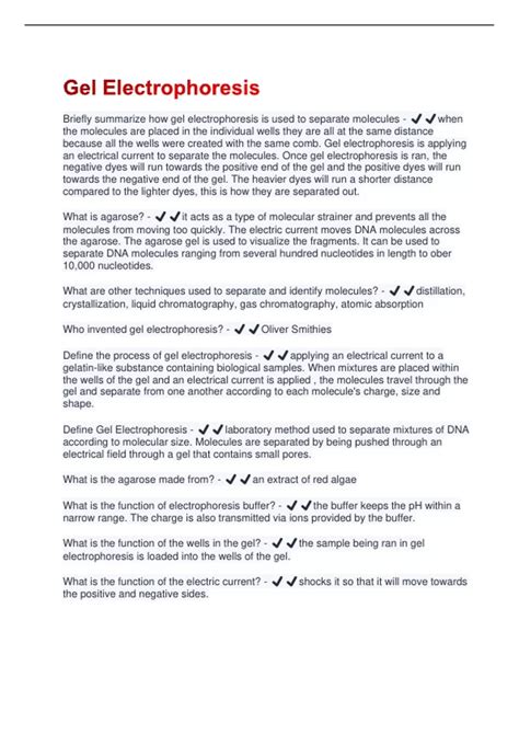 Gel Electrophoresis Questions And Answers Gel Electrophoresis Stuvia Us
