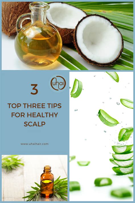 Everything On Scalp Health Tips For A Healthy Scalp Uhai