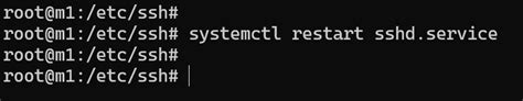 how to fix client loop send disconnect broken pipe in ssh