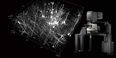 Nikon Instruments Inc