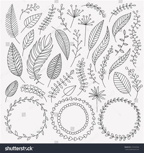 Vector Hand Drawn Leaves Set Collection Stock Vector Royalty Free