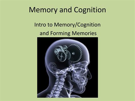 Ppt Memory And Cognition Powerpoint Presentation Free Download Id