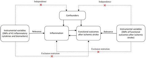 Exploring Causal Association Between Circulating Inflammatory Cytokines