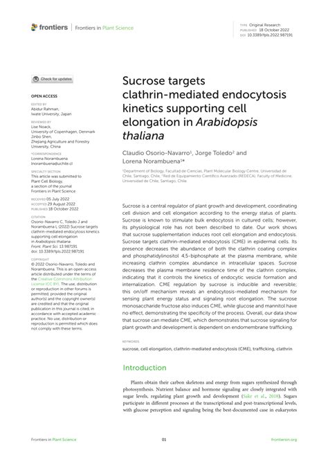 Pdf Sucrose Targets Clathrin Mediated Endocytosis Kinetics Supporting