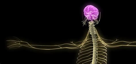 Medical Visualization On Behance