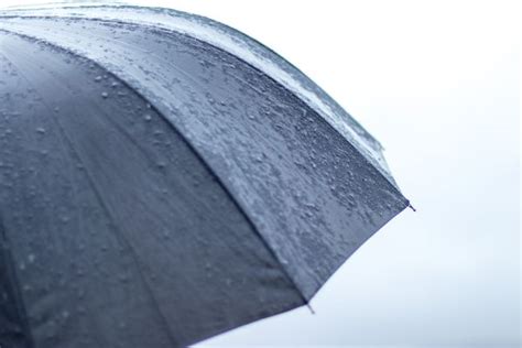 Understanding Your Payslip A Guide For Contractors Umbrellaphant