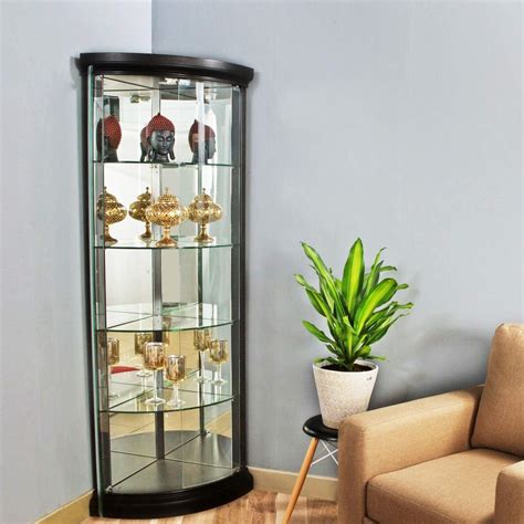 Corner Glass Cabinet Cabinets Matttroy