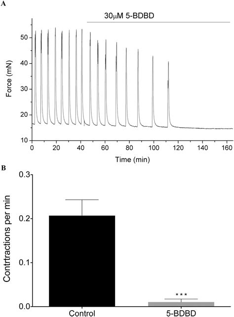 Effect Of Increasing The Extracellular Atp Concentration Simulation Of