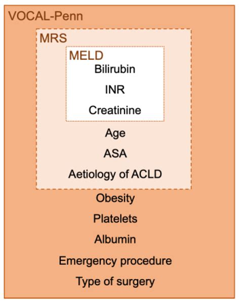 Endoscopy Npo Guidelines At Cornelia Priest Blog