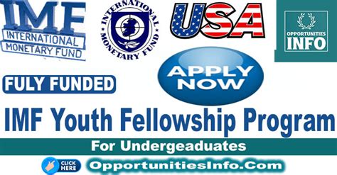 Imf Youth Internship Program In Usa 2025 Apply Online