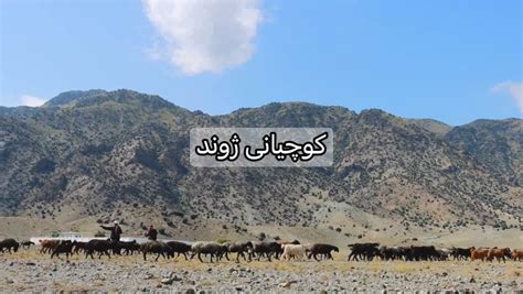 کوچیانی ژوند