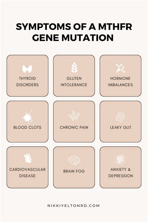Whether Youve Been Clinically Diagnosed Or Suspect A Mthfr Gene Mutation In Your Body Its