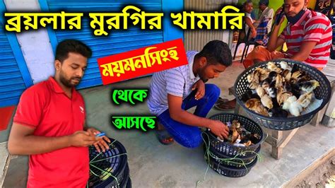 দেশি মুরগির বাচ্চা নিতে আসছে ময়মনসিংহ থেকে ।। দেশি মুরগি পালন পদ্ধতি