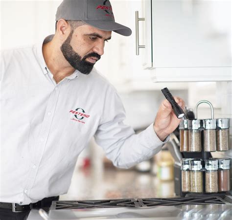 Cockroach Control Mississauga Pestend Exterminator
